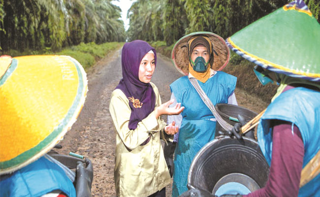 Berita Sawit - Cargill Menuju 100% Produksi Sawit Berkelanjutan Pada 2020
